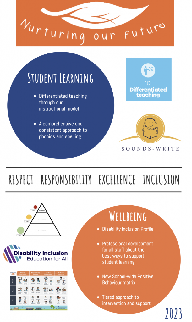 AIP & Strategic Plan – Newport Gardens Primary School